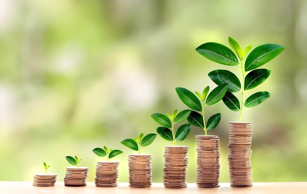 Endowment | Belize Scout Foundation